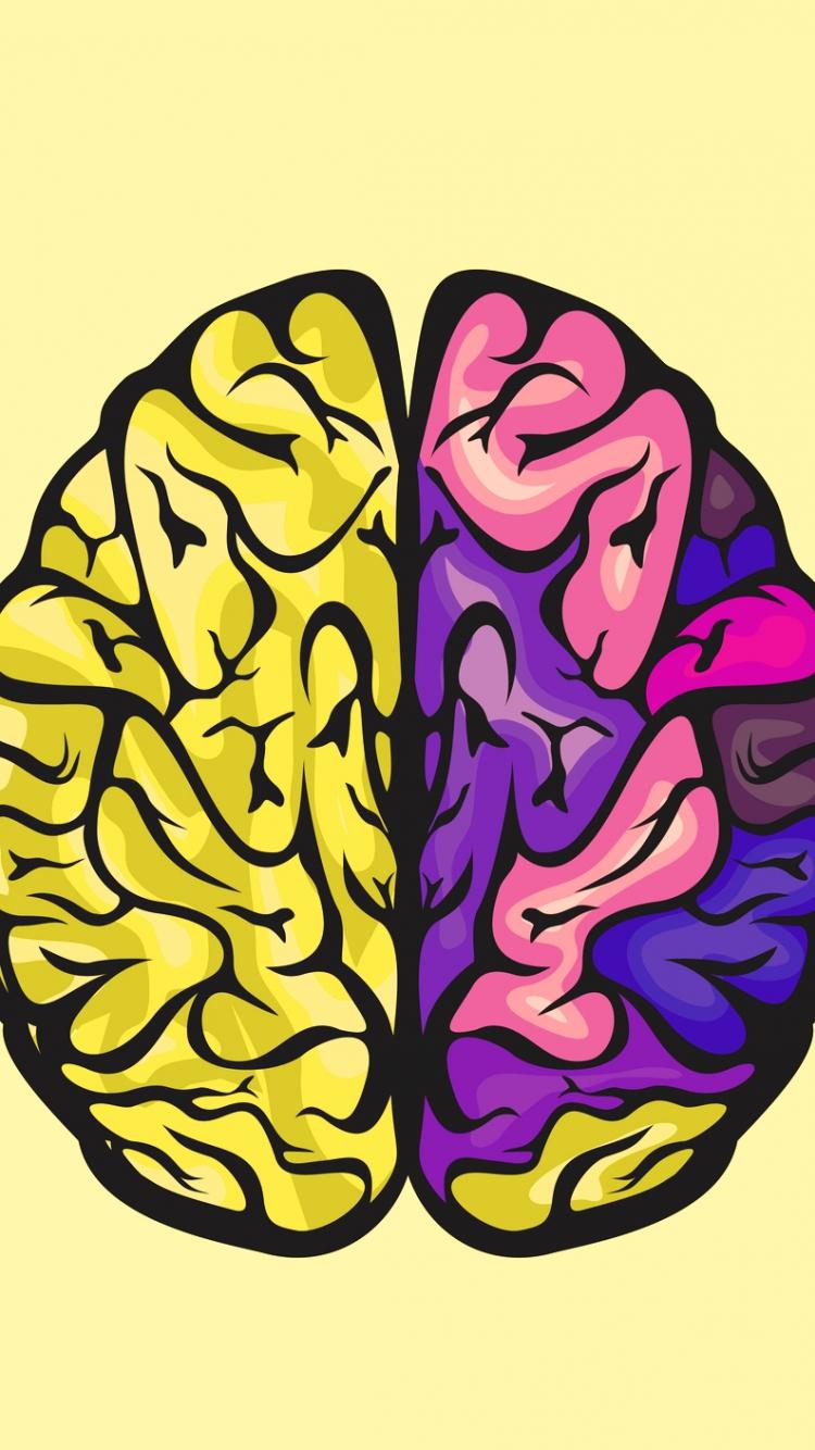 Brain Phone Wallpapers - Top Free Brain Phone Backgrounds - WallpaperAccess