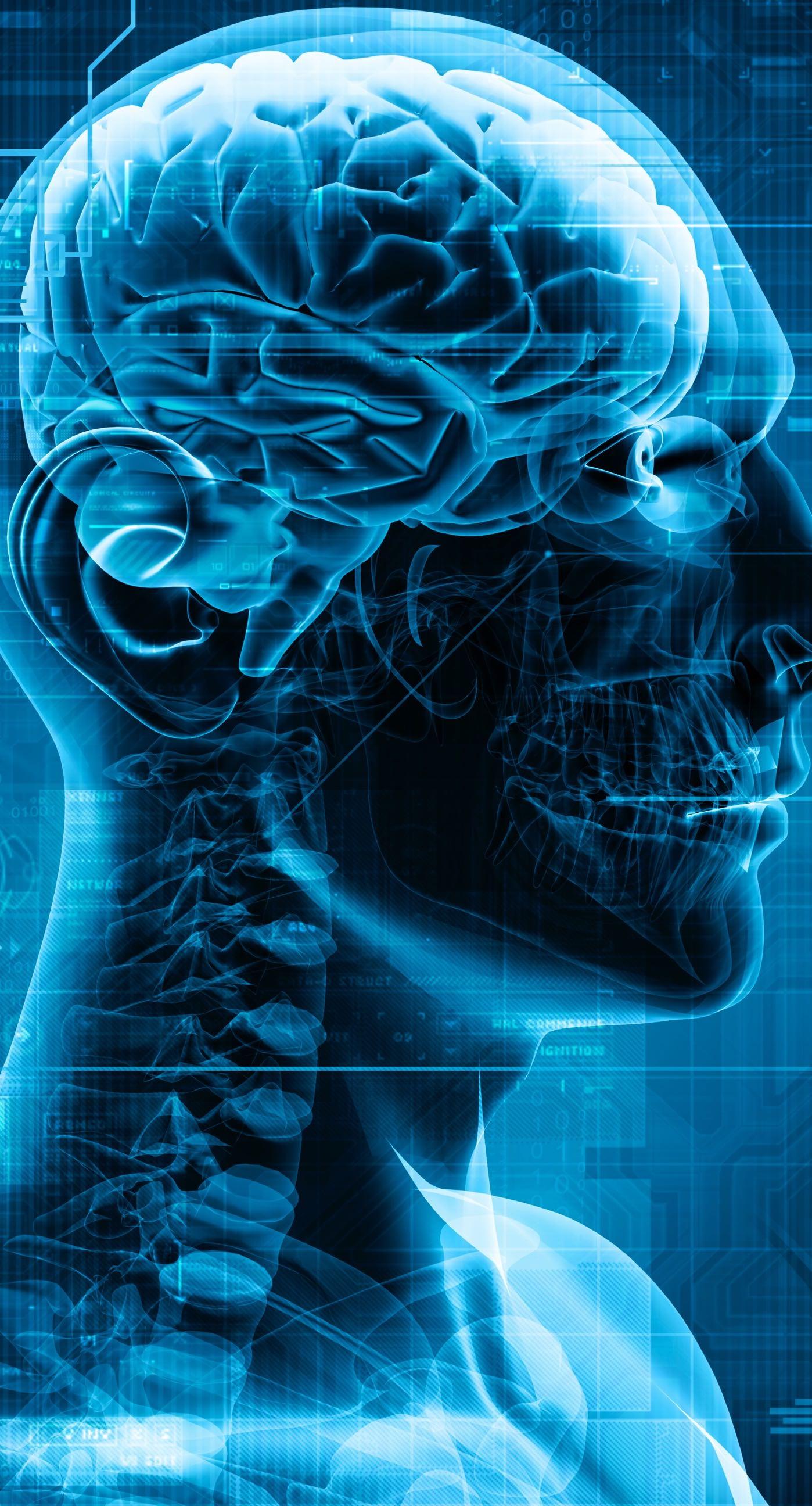 Brain iPhone Wallpapers - Top Free Brain iPhone Backgrounds ...