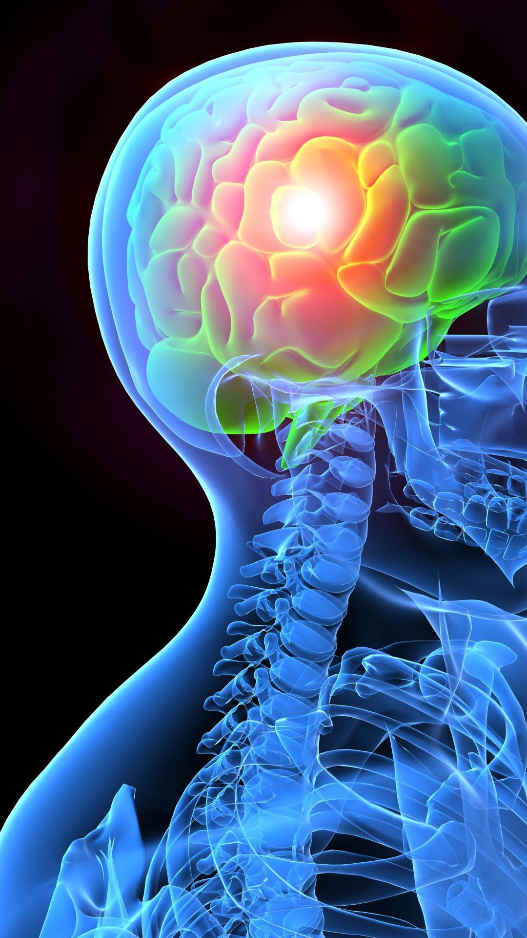 Brain Phone Wallpapers - Top Free Brain Phone Backgrounds - WallpaperAccess