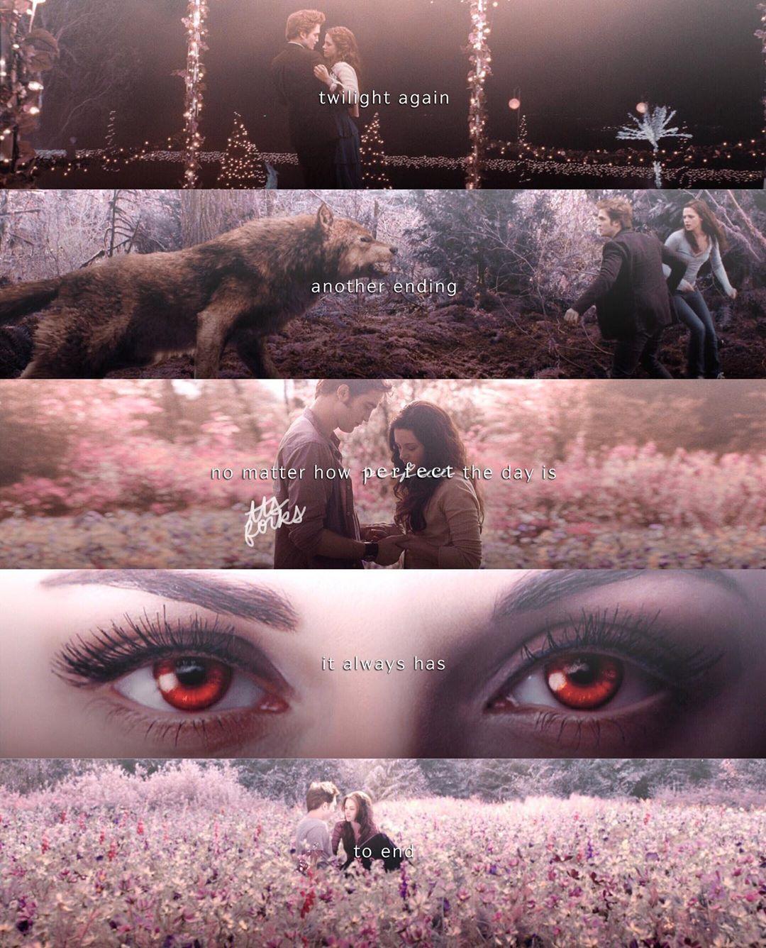 Twilight Book Wallpapers - Top Free Twilight Book Backgrounds ...