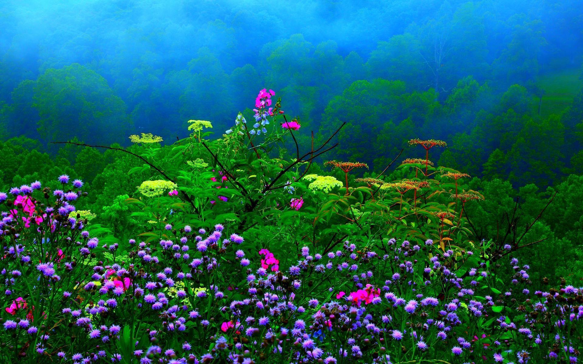 Rain Desktop Wallpapers - Top Free Rain Desktop Backgrounds ...