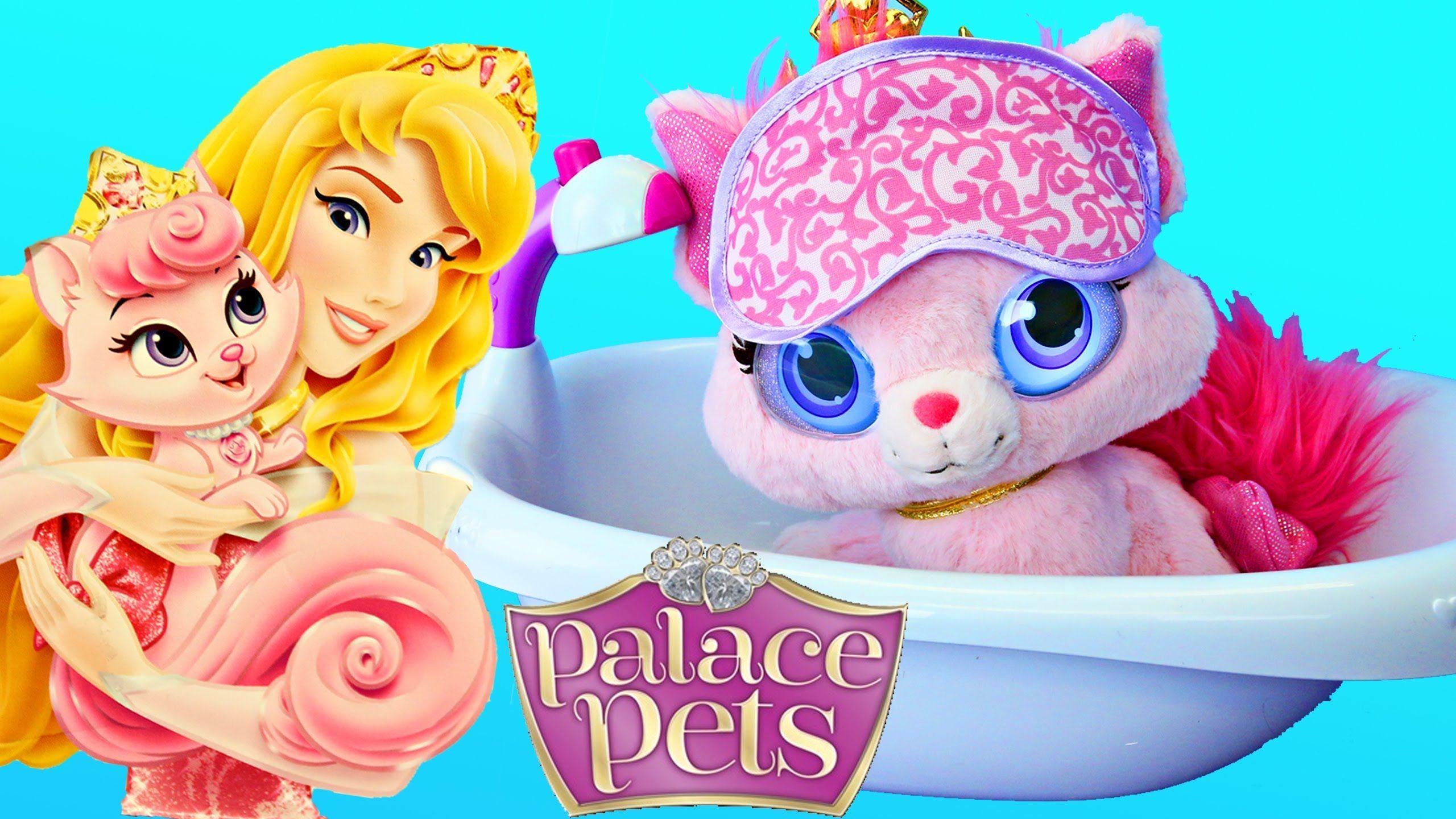 Palace Pets Wallpapers - Top Free Palace Pets Backgrounds - WallpaperAccess