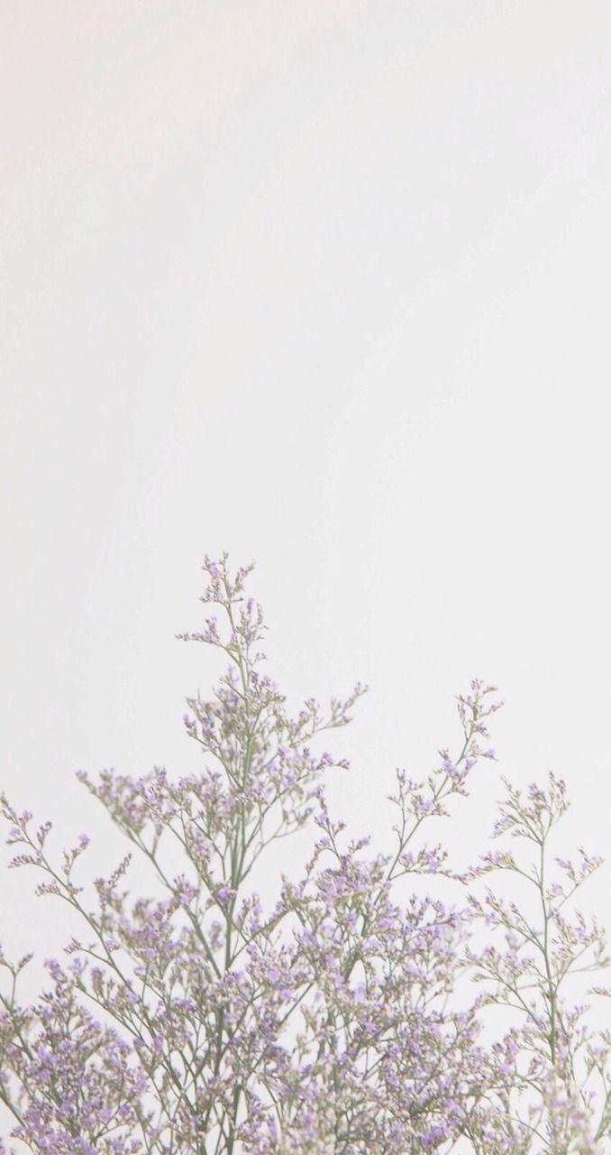 Quiet Phone Wallpapers - Top Free Quiet Phone Backgrounds - WallpaperAccess