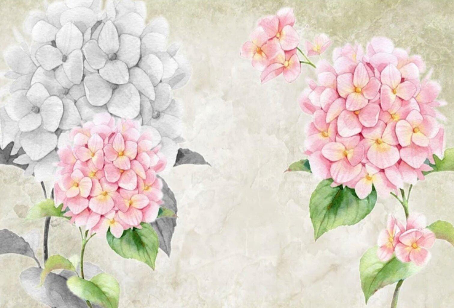 Pink Hydrangea Wallpapers - Top Free Pink Hydrangea Backgrounds ...