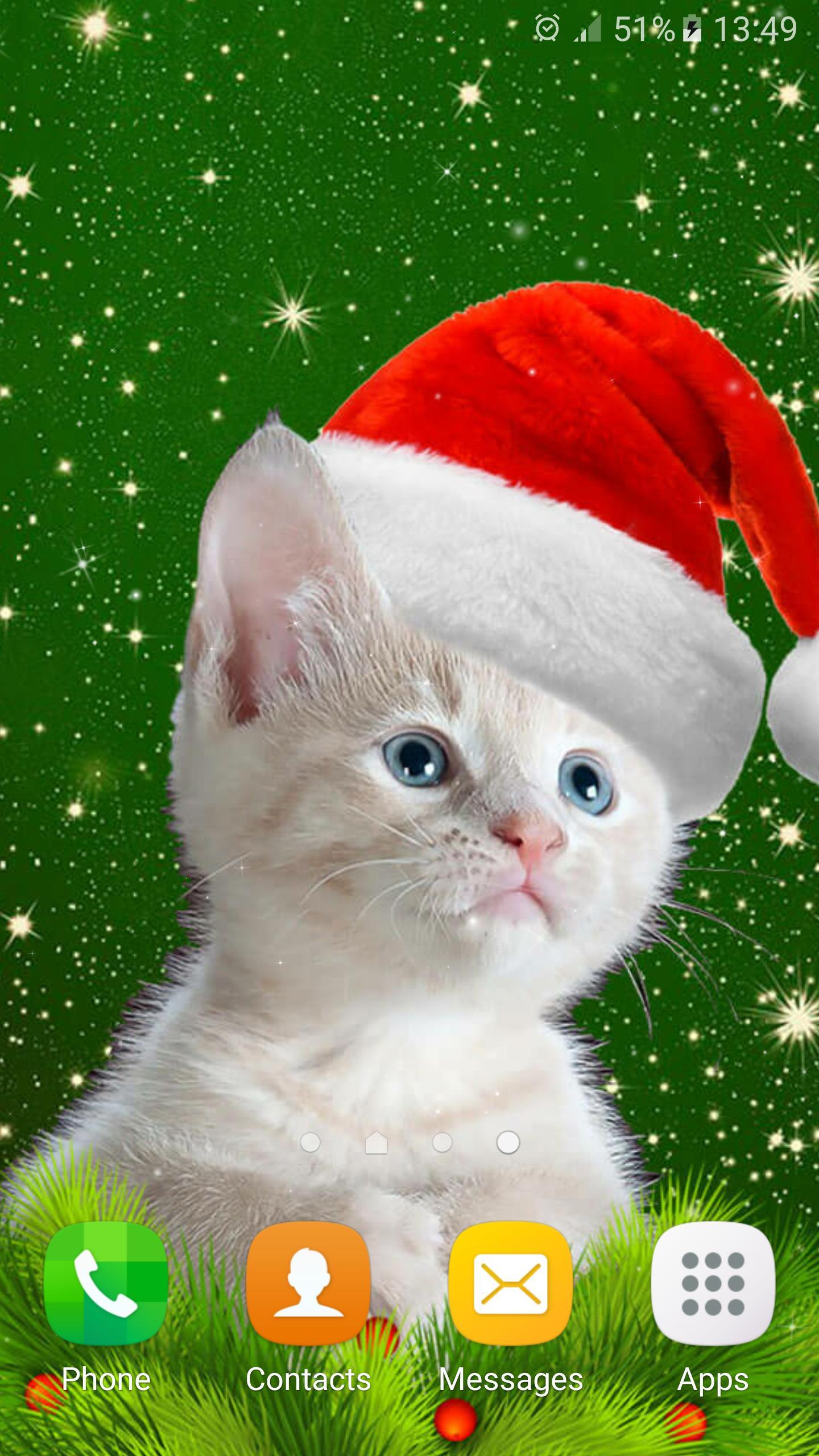Cat Christmas Wallpapers - Top Free Cat Christmas Backgrounds ...