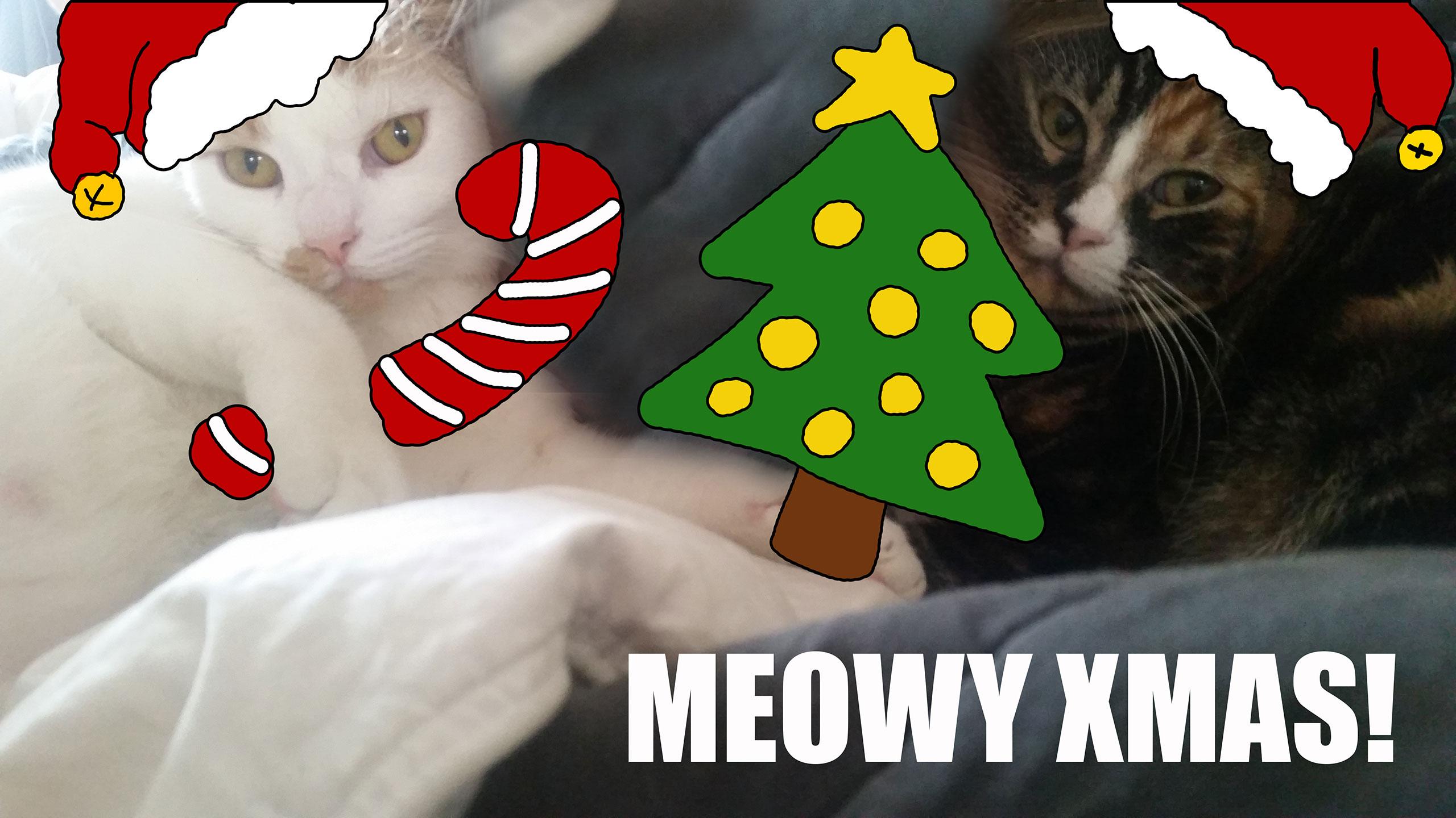 Meowy Christmas Wallpapers - Top Free Meowy Christmas Backgrounds ...