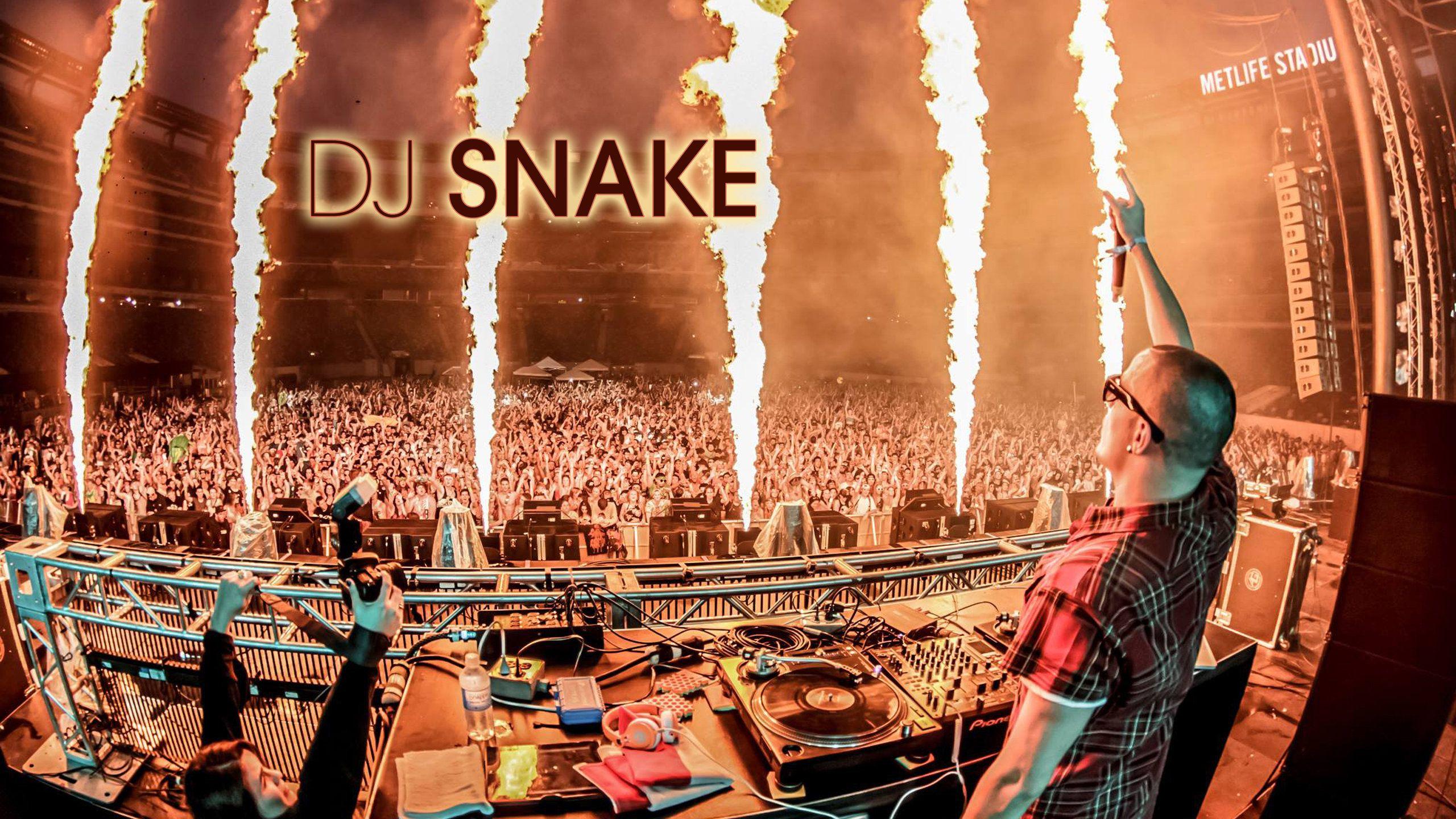 DJ Concert Wallpapers - Top Free DJ Concert Backgrounds - WallpaperAccess
