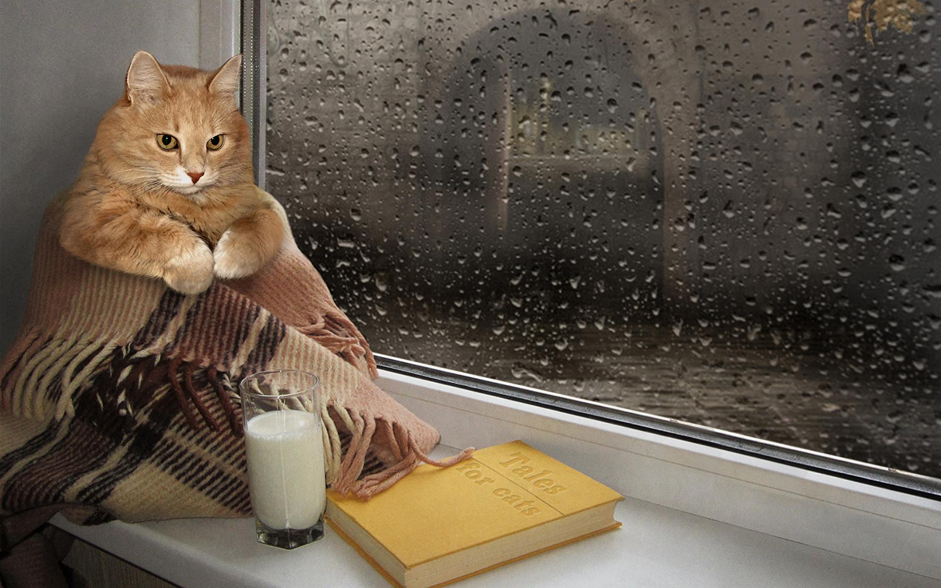 Funny Book Wallpapers - Top Free Funny Book Backgrounds - WallpaperAccess