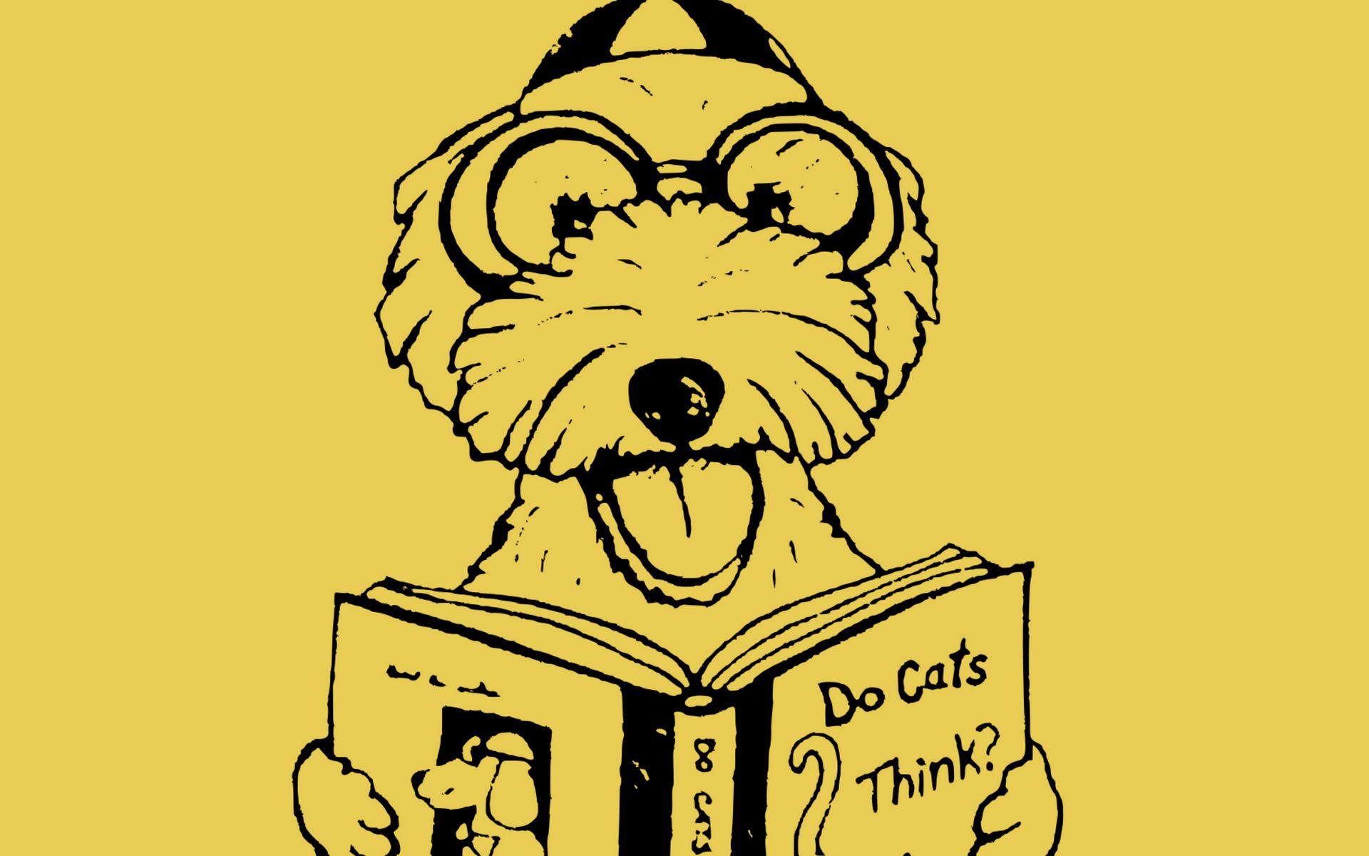 Funny Book Wallpapers - Top Free Funny Book Backgrounds - WallpaperAccess