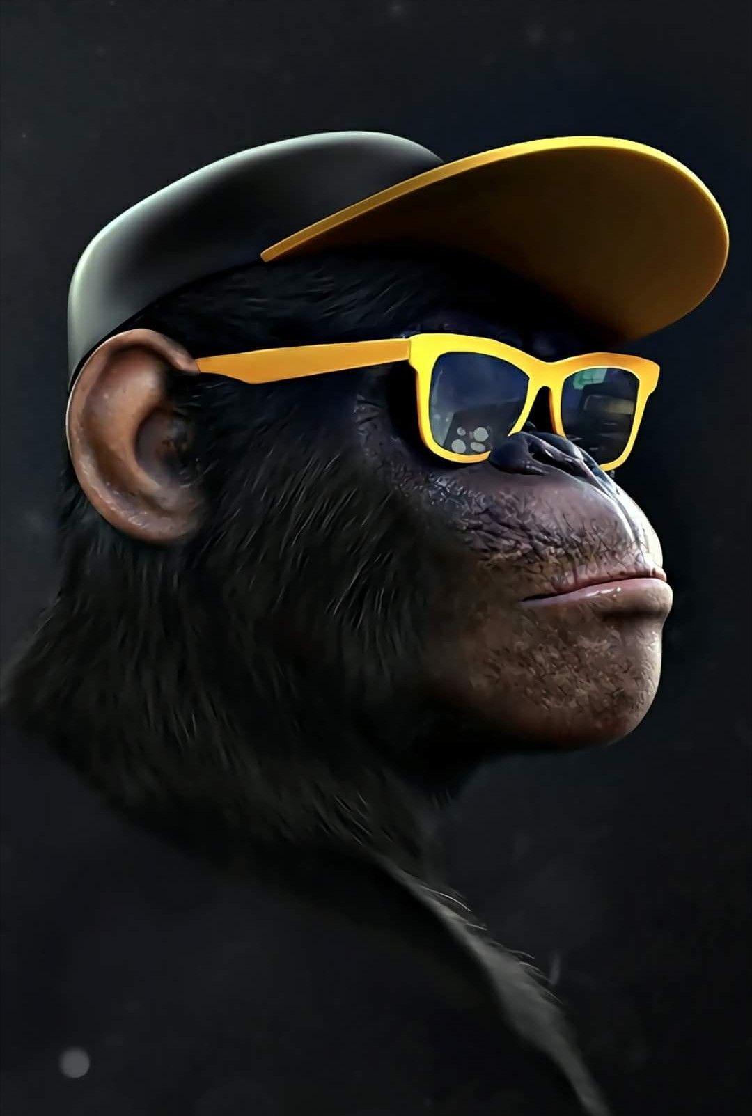 Dope King Wallpapers - Top Free Dope King Backgrounds - WallpaperAccess