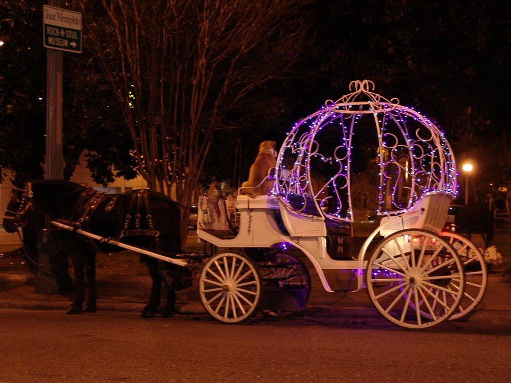 Cinderella Carriage Wallpapers - Top Free Cinderella Carriage ...