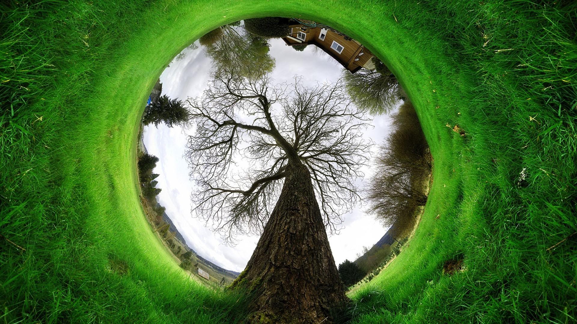 1920X1080 HD Extraordinary Wallpapers - Top Free 1920X1080 HD ...