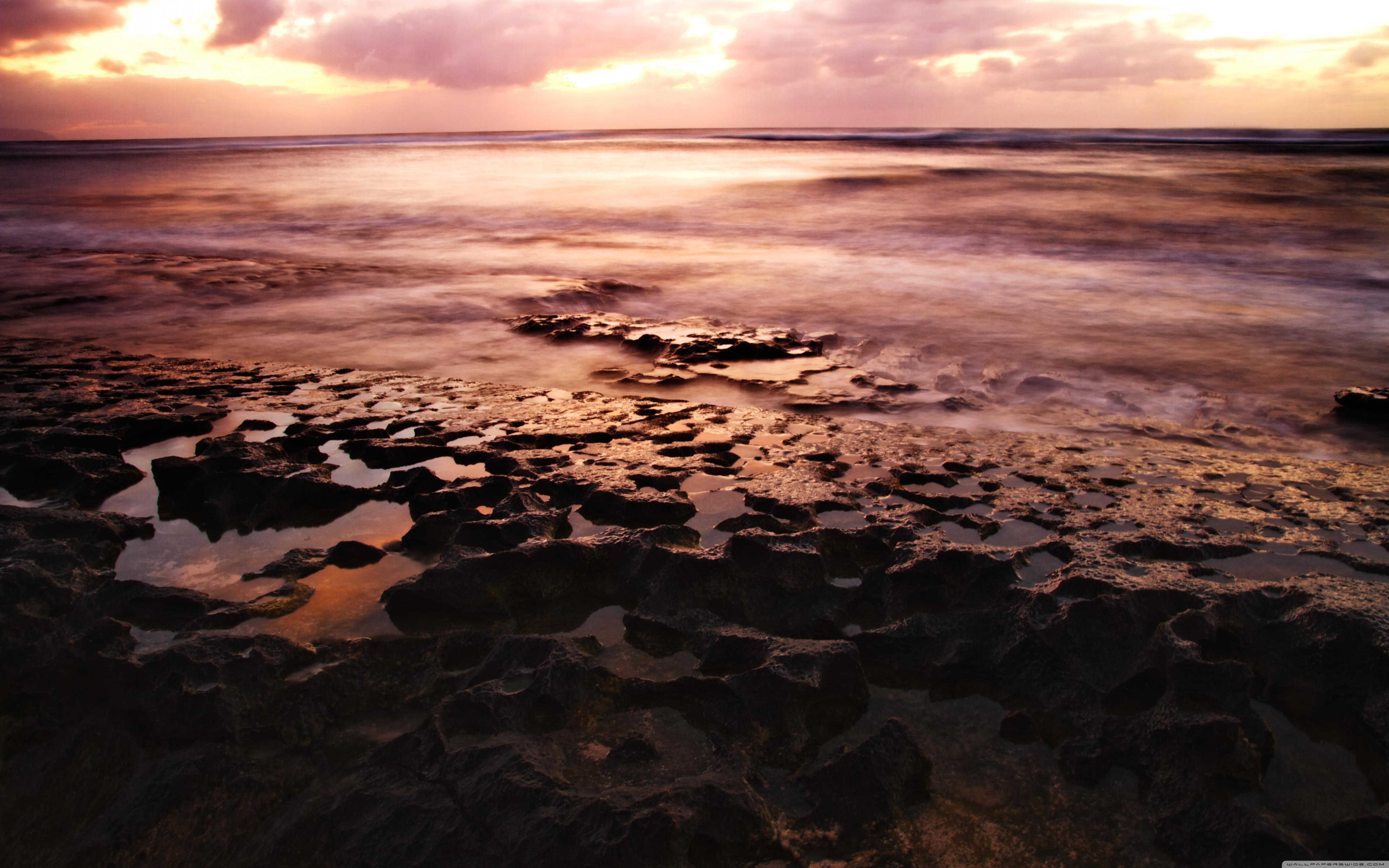 Synthetic Wallpapers - Top Free Synthetic Backgrounds - WallpaperAccess