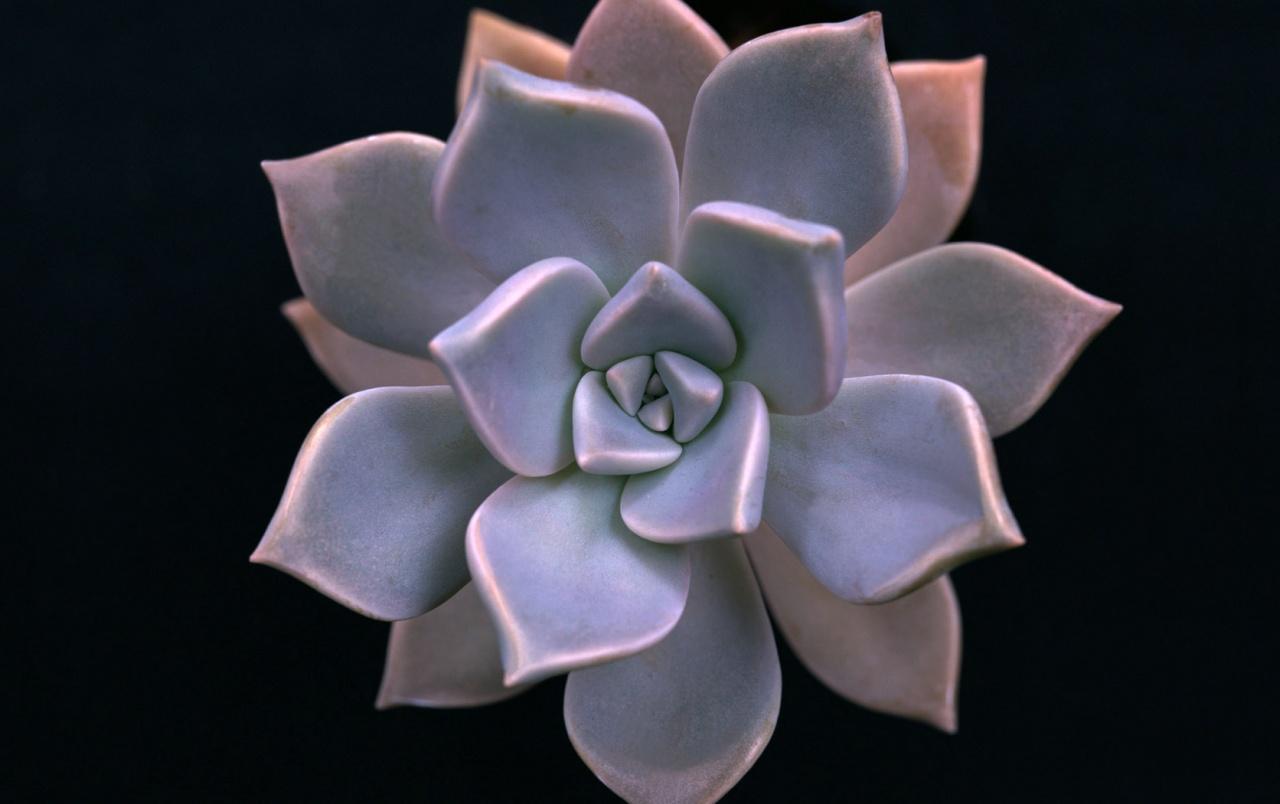 Synthetic Wallpapers - Top Free Synthetic Backgrounds - WallpaperAccess