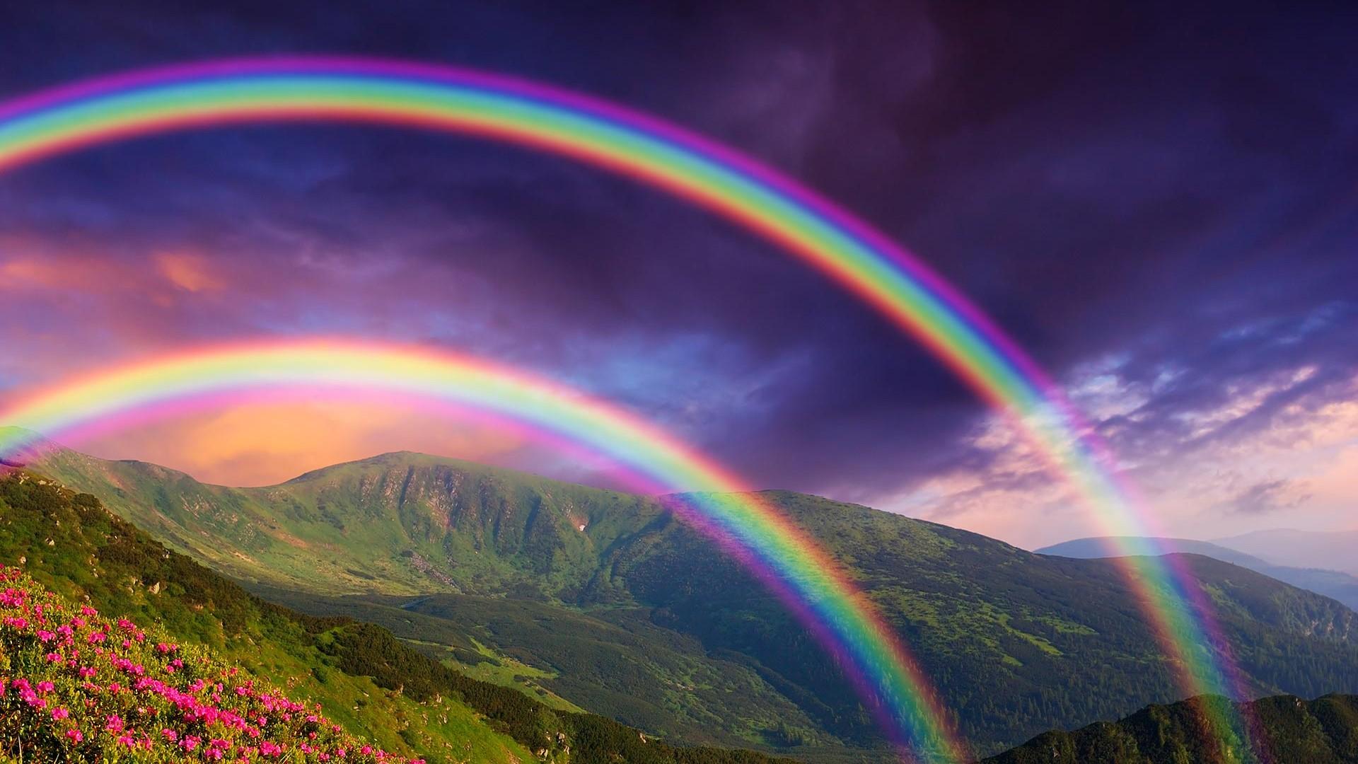 Rainbow HD Wallpapers - Top Free Rainbow HD Backgrounds - WallpaperAccess