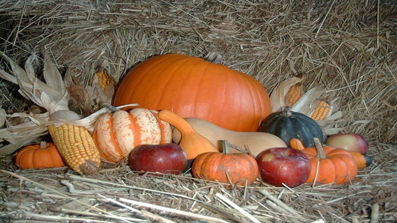 Colonial Food Wallpapers - Top Free Colonial Food Backgrounds ...