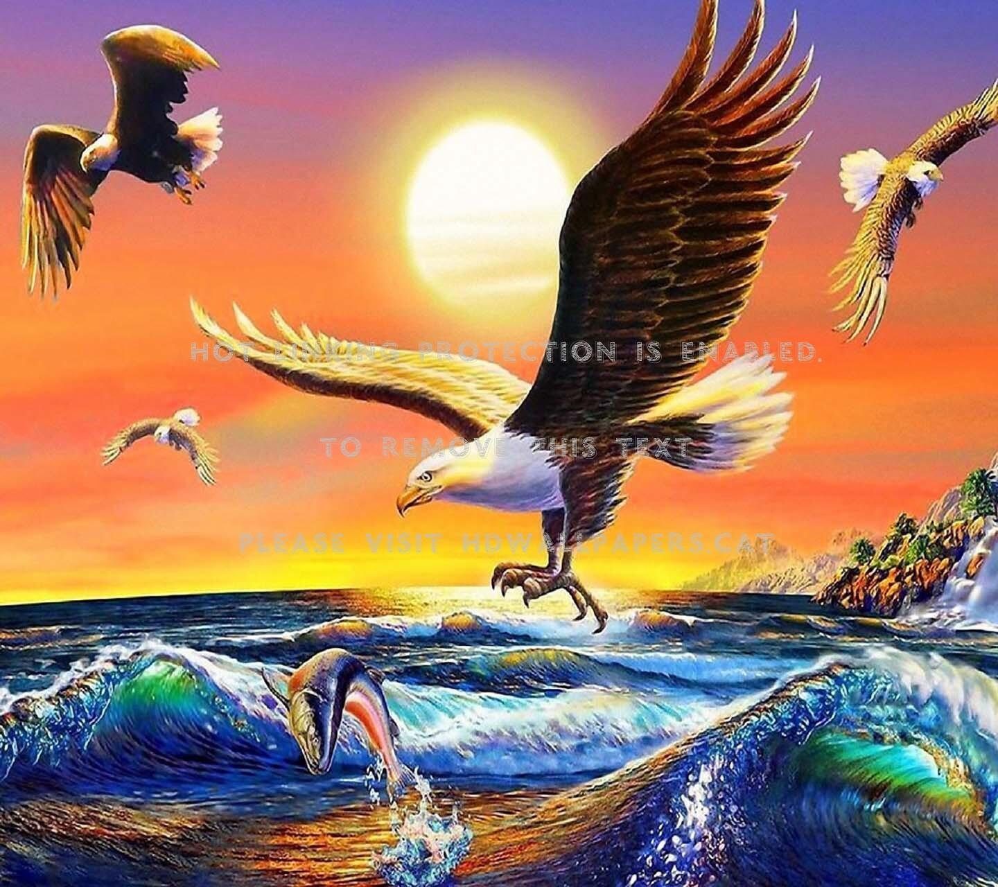 Eagle Sunset Wallpapers - Top Free Eagle Sunset Backgrounds ...