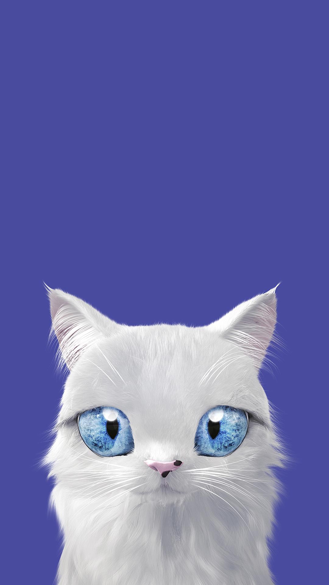 Tron Cat Wallpapers - Top Free Tron Cat Backgrounds - WallpaperAccess