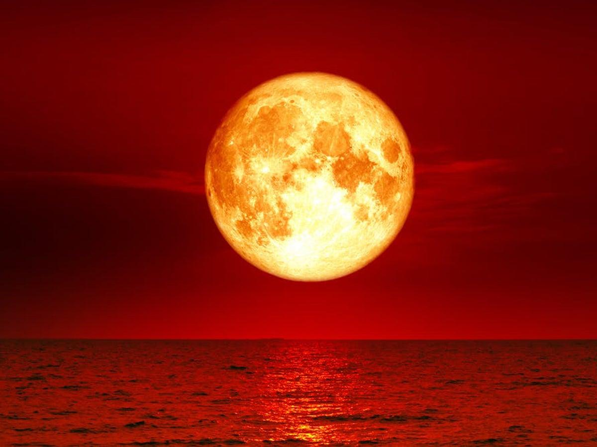 Super Moon at Sunset Wallpapers - Top Free Super Moon at Sunset ...