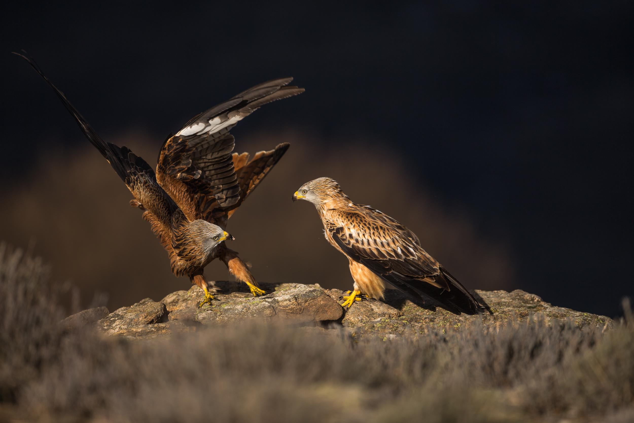 World Photography Wallpapers - Top Free World Photography Backgrounds ...