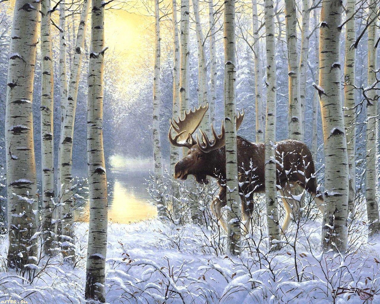 Moose in Snow Wallpapers - Top Free Moose in Snow Backgrounds ...