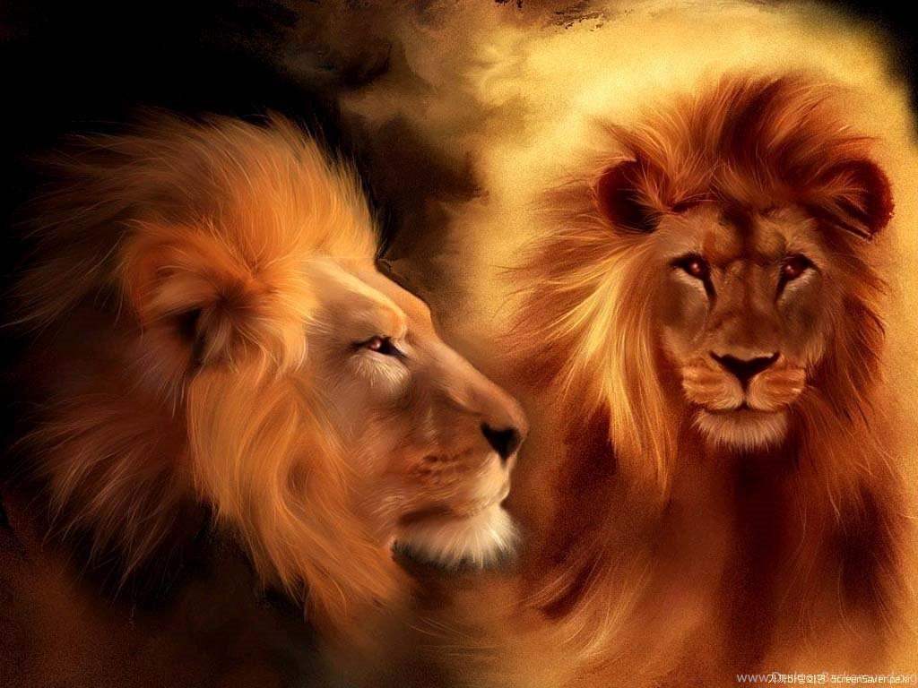 Lion PC Wallpapers - Top Free Lion PC Backgrounds - WallpaperAccess