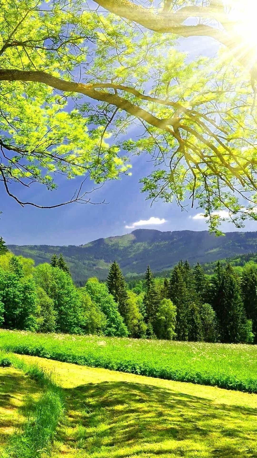 4k Nature Phone Wallpapers - Top Free 4k Nature Phone Backgrounds ...
