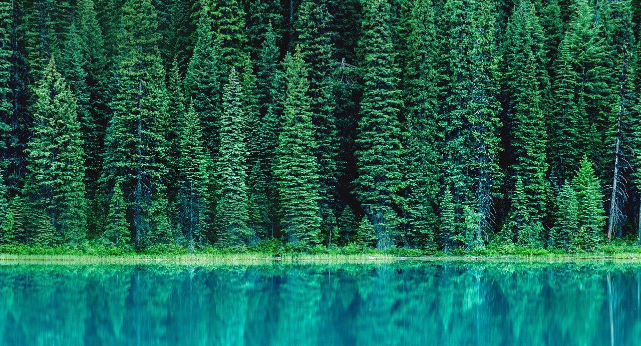 HPE Wallpapers - Top Free HPE Backgrounds - WallpaperAccess