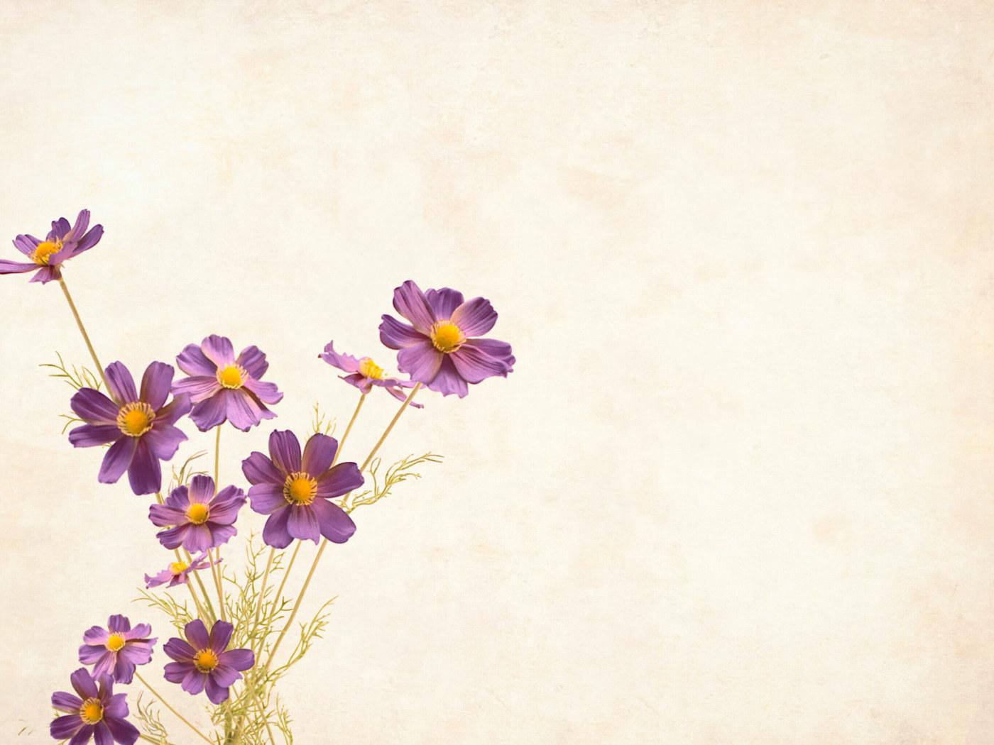 Cute Aesthetic Flower Wallpapers - Top Free Cute Aesthetic Flower ...