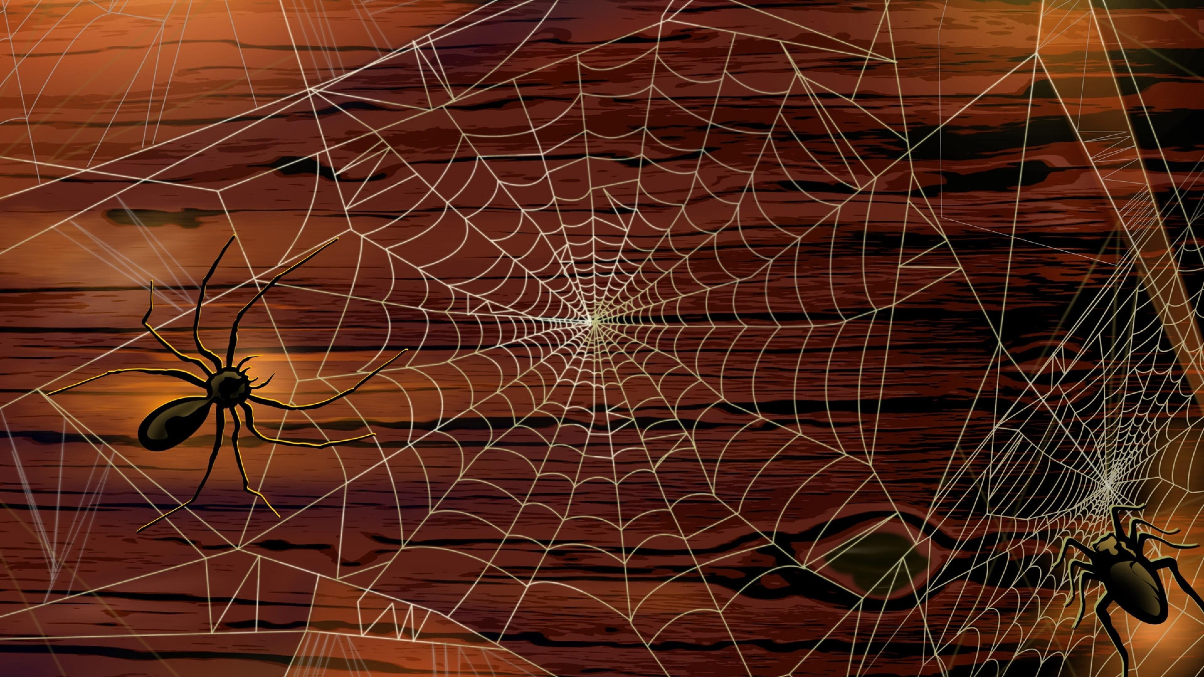 Scary Spider Wallpapers - Top Free Scary Spider Backgrounds ...