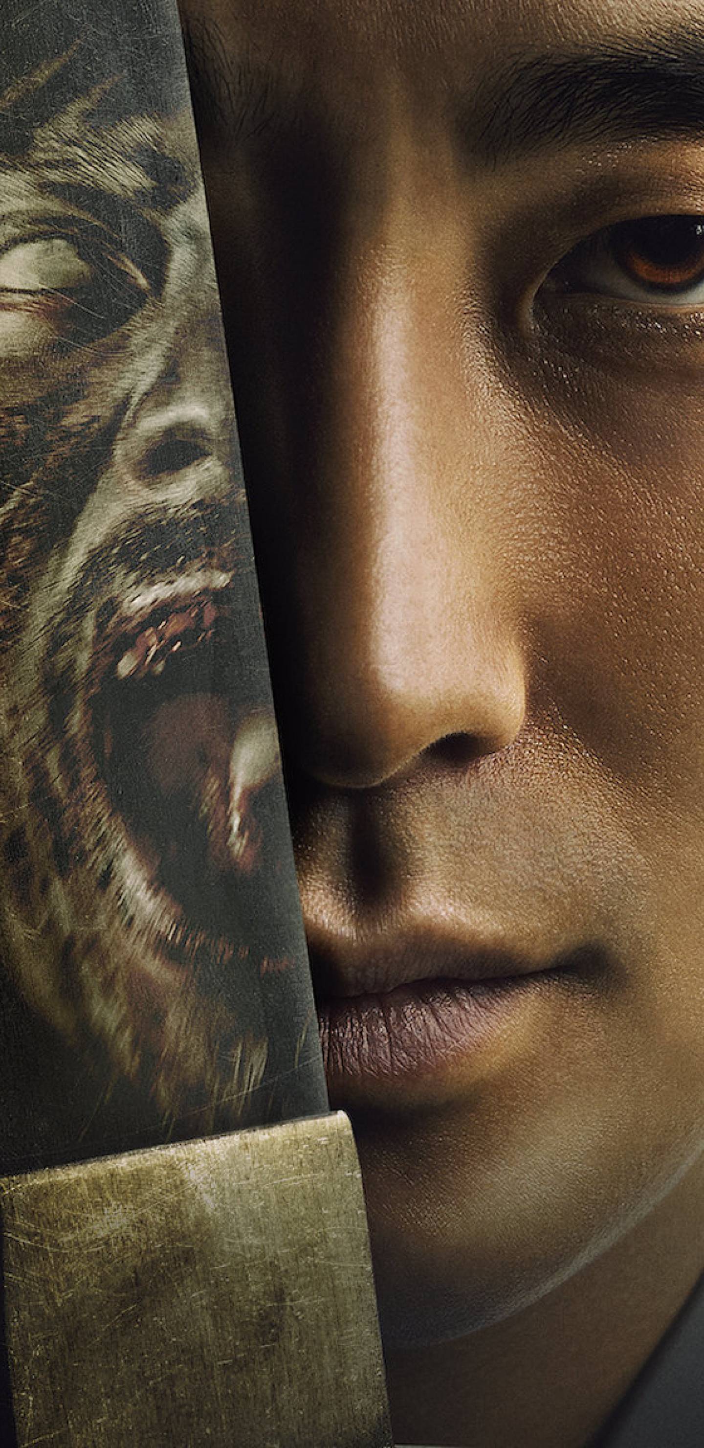 Kingdom Netflix Wallpapers - Top Free Kingdom Netflix Backgrounds ...