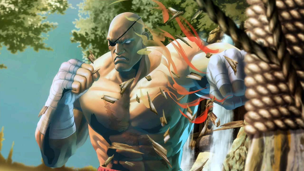 Sagat Street Fighter Wallpapers - Top Free Sagat Street Fighter ...