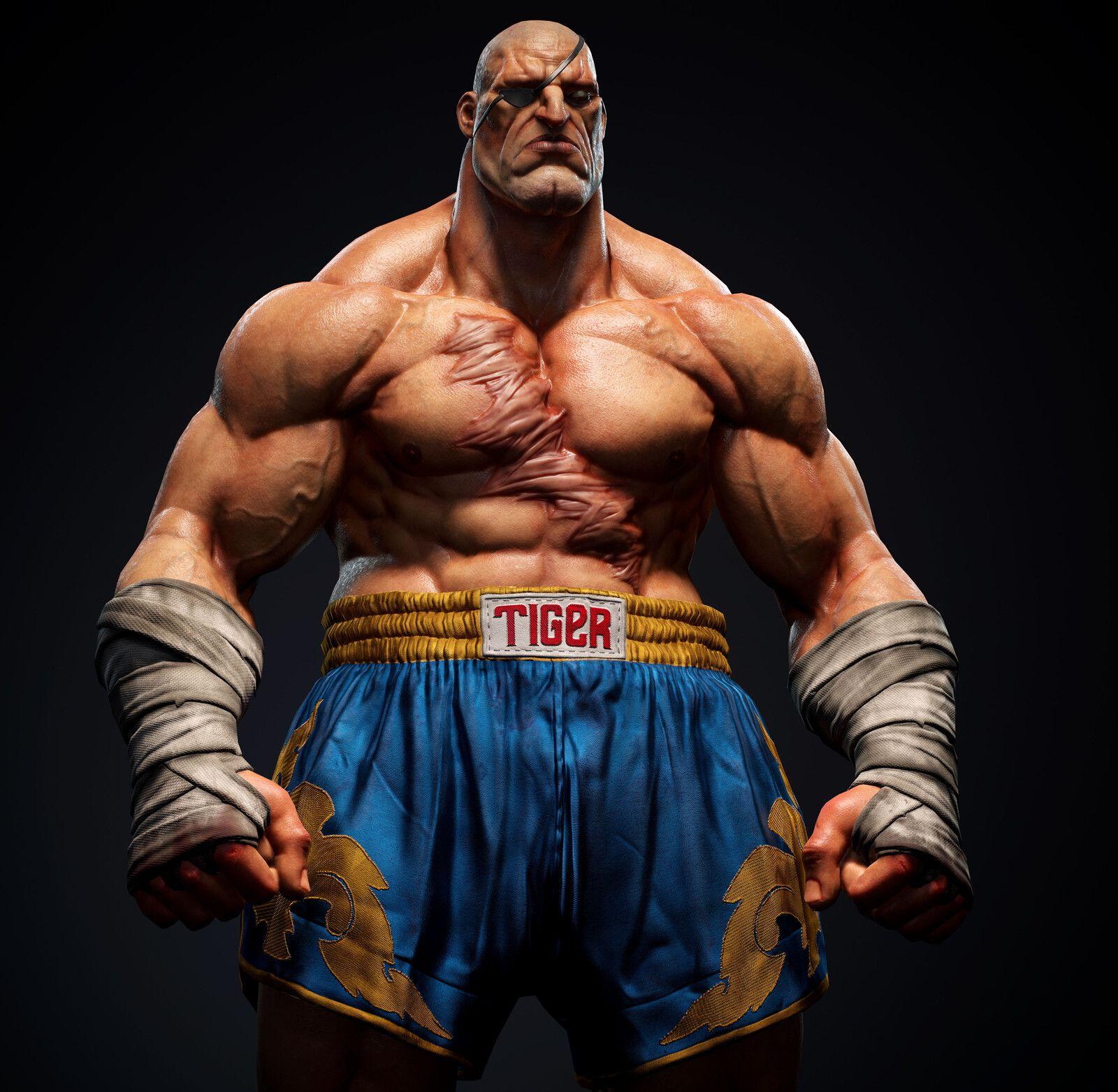 Sagat Street Fighter Wallpapers - Top Free Sagat Street Fighter ...