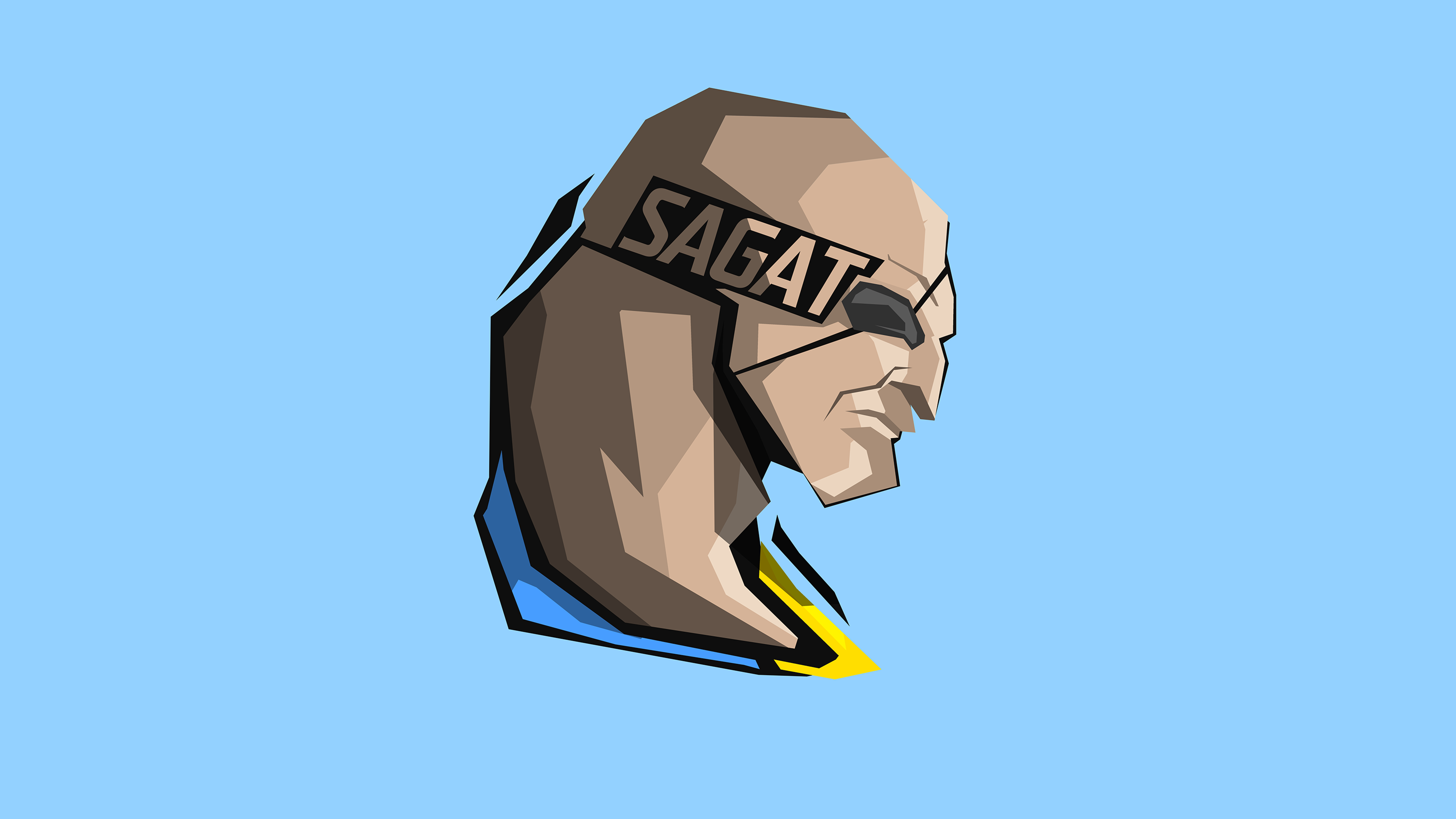 Sagat Street Fighter Wallpapers - Top Free Sagat Street Fighter ...