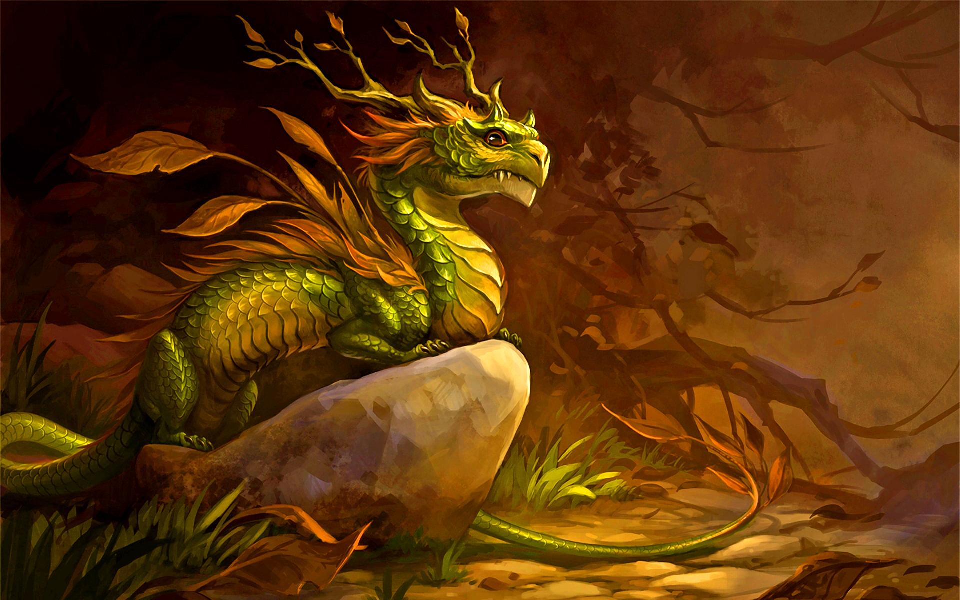 Dragon Forest Wallpapers - Top Free Dragon Forest Backgrounds ...