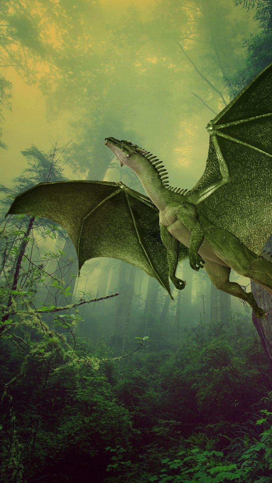 Dragon Forest Wallpapers - Top Free Dragon Forest Backgrounds ...