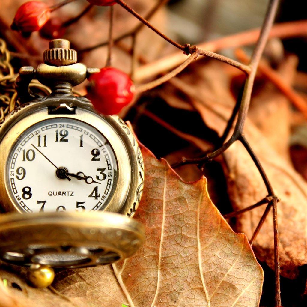 Beautiful Watch Wallpapers - Top Free Beautiful Watch Backgrounds ...