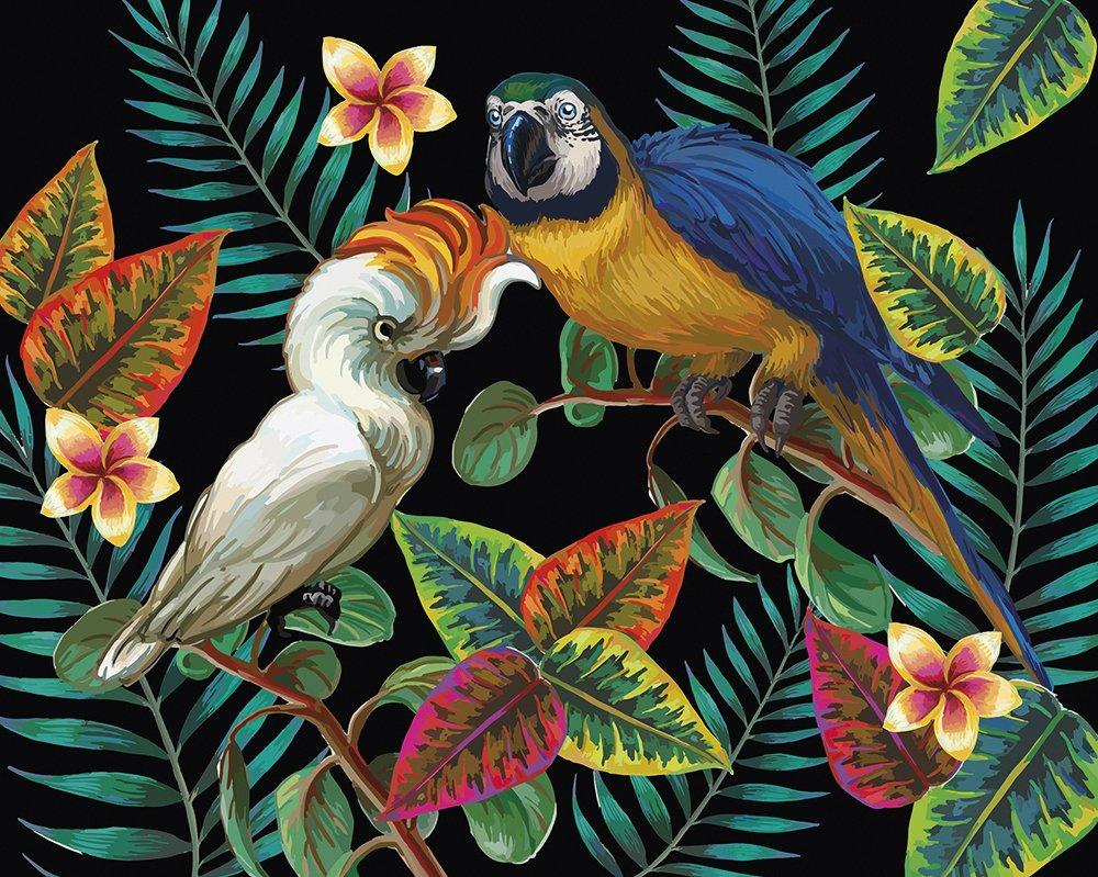 Tropical Bird Art Wallpapers - Top Free Tropical Bird Art Backgrounds ...