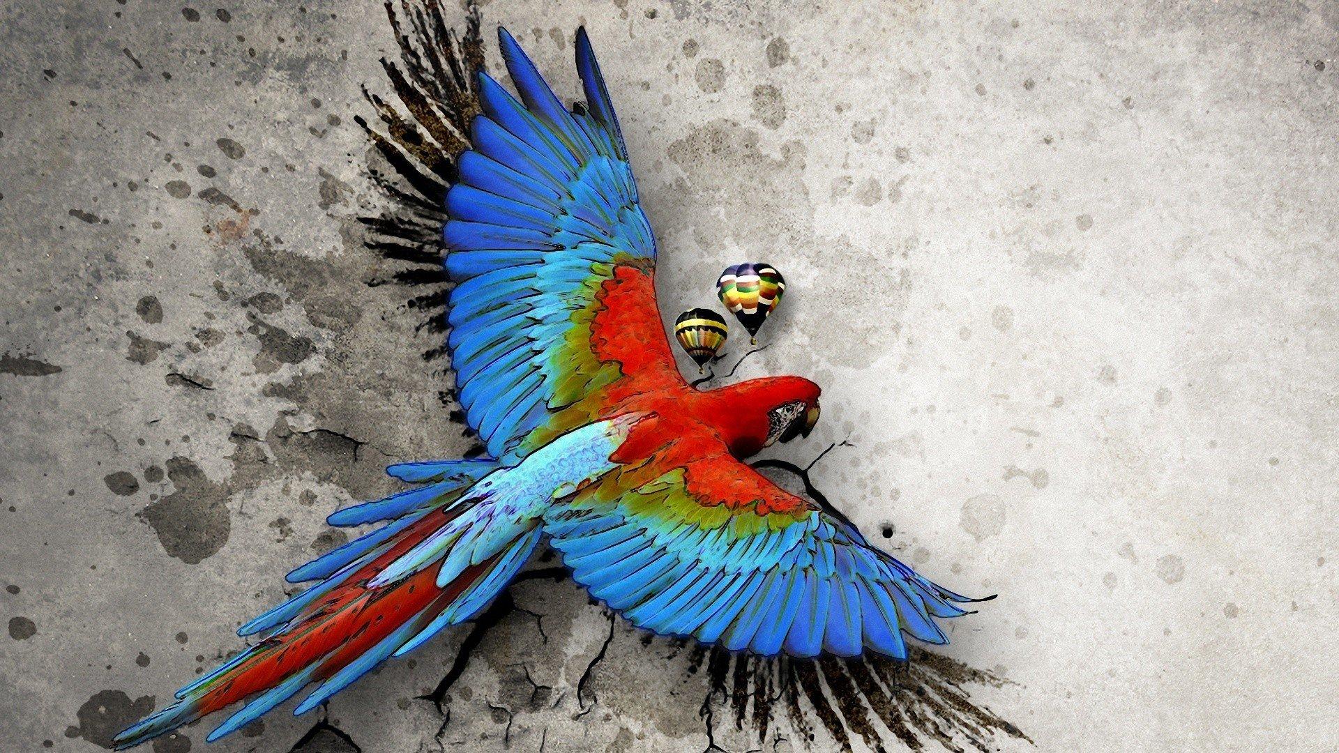Tropical Bird Art Wallpapers - Top Free Tropical Bird Art Backgrounds ...