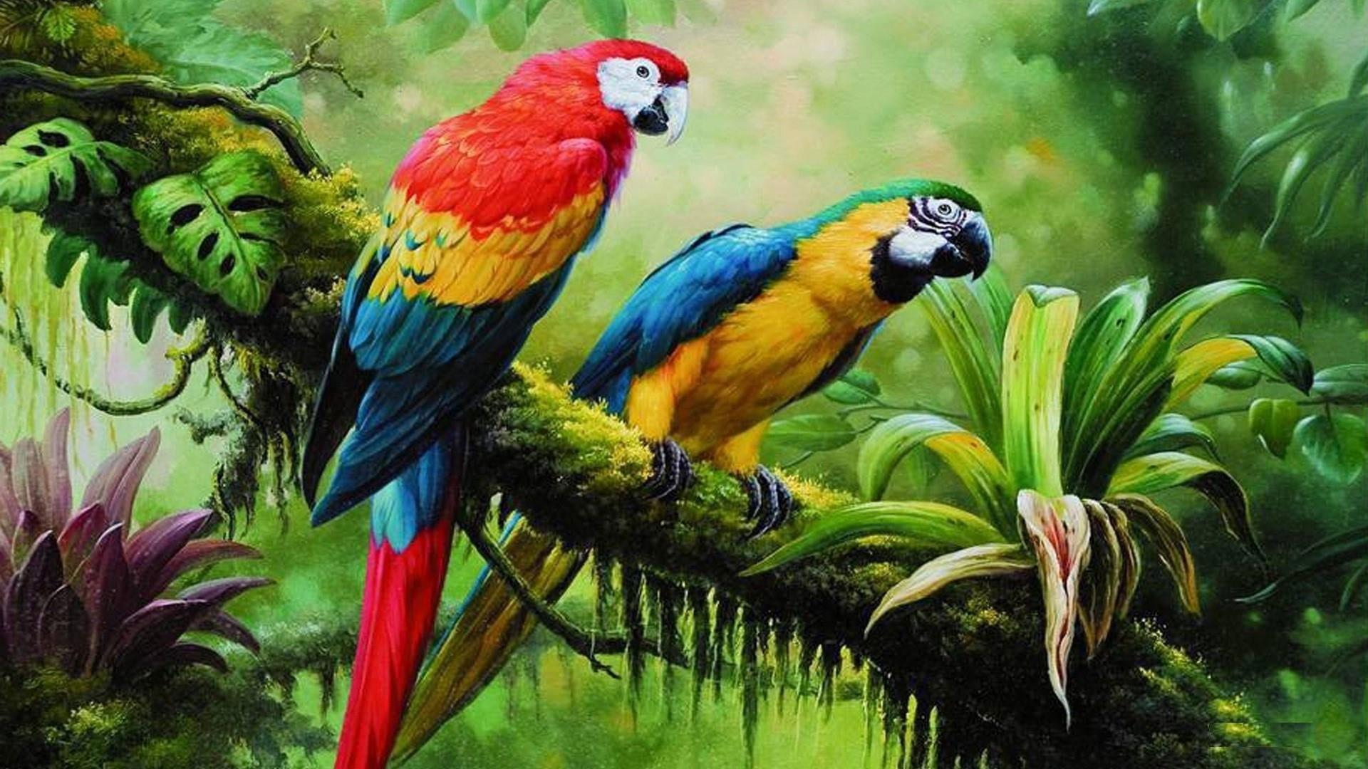 Tropical Bird Art Wallpapers - Top Free Tropical Bird Art Backgrounds ...