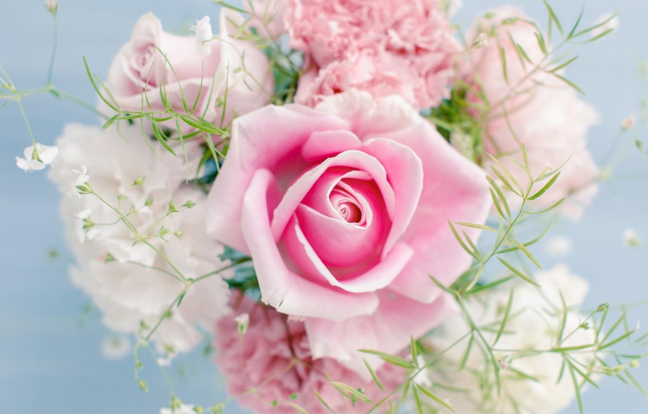 Beautiful Pink Roses Wallpapers - Top Free Beautiful Pink Roses ...