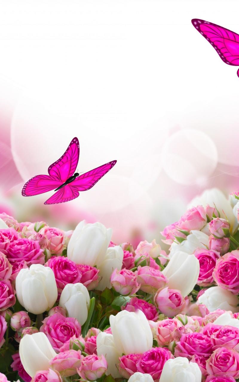 Beautiful Pink Roses Wallpapers - Top Free Beautiful Pink Roses ...