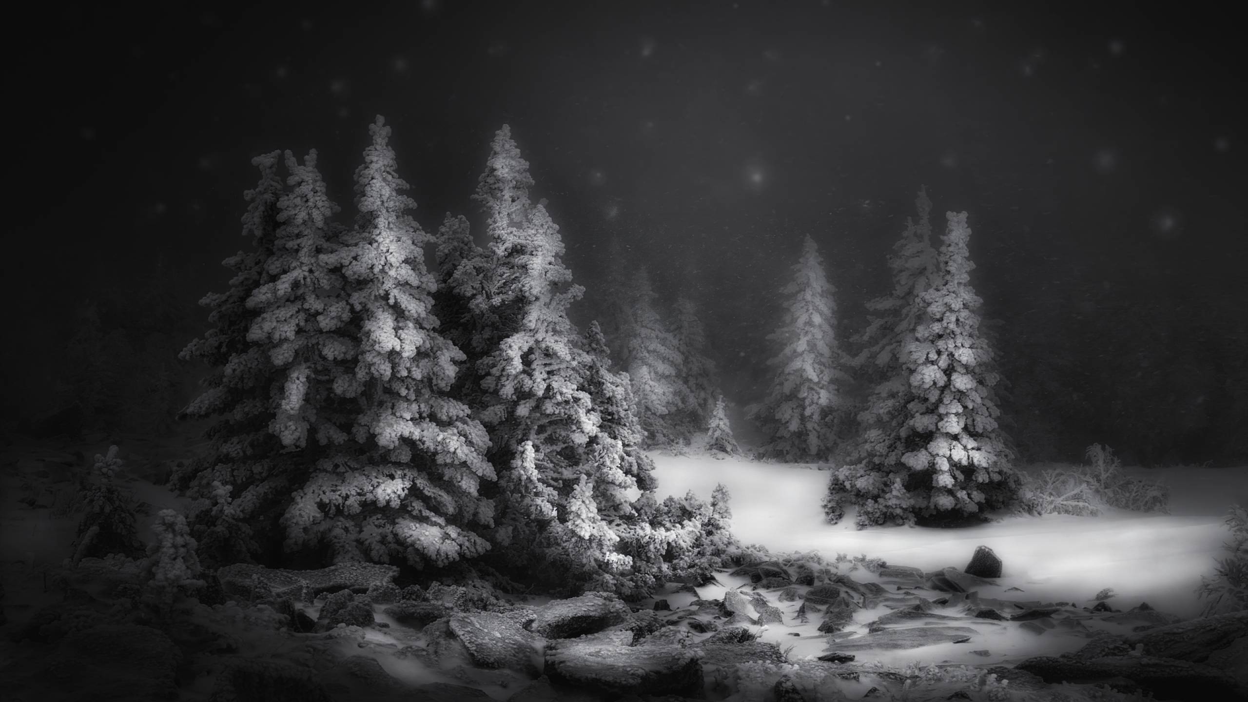 Snowy Winter Night Wallpapers - Top Free Snowy Winter Night Backgrounds ...
