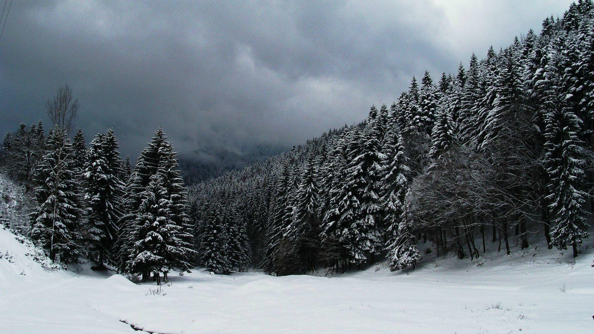 Dark Winter Desktop Wallpapers - Top Free Dark Winter Desktop ...
