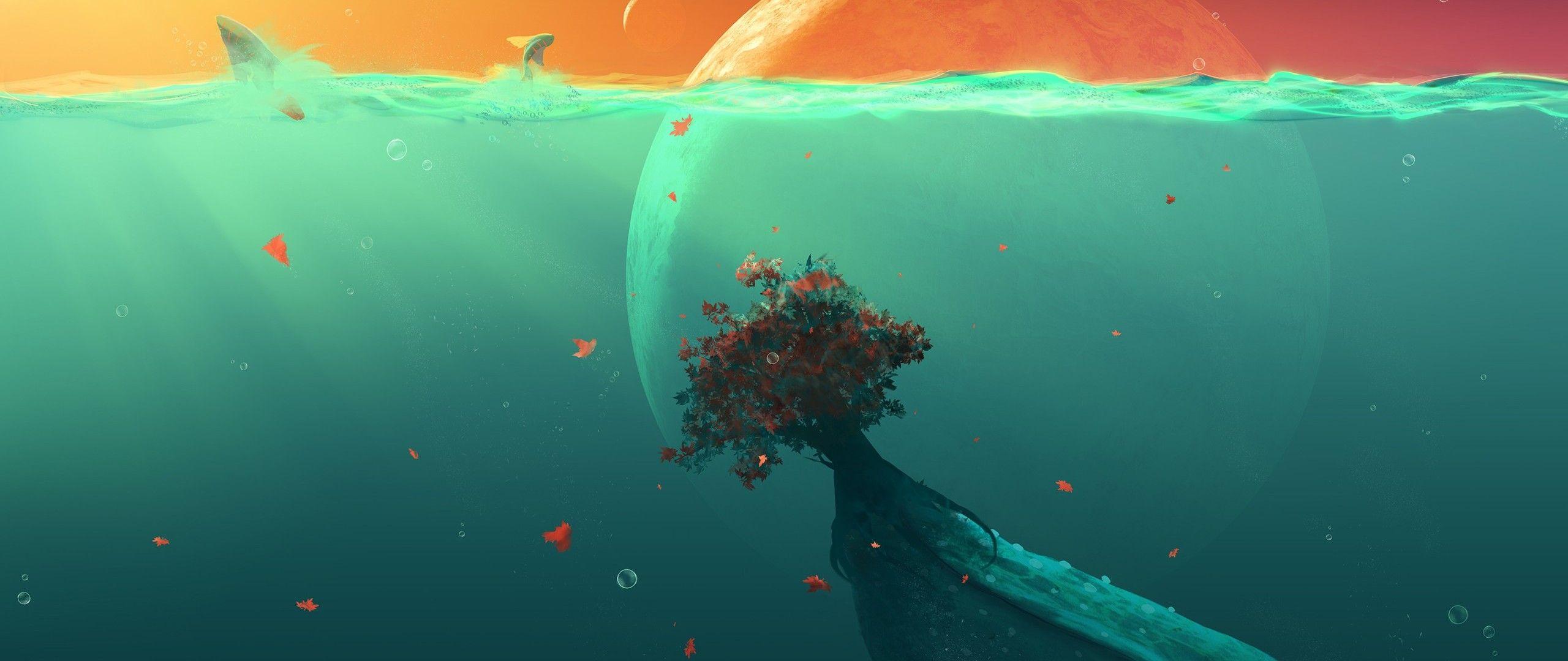 4K Ocean Floor Wallpapers - Top Free 4K Ocean Floor Backgrounds ...