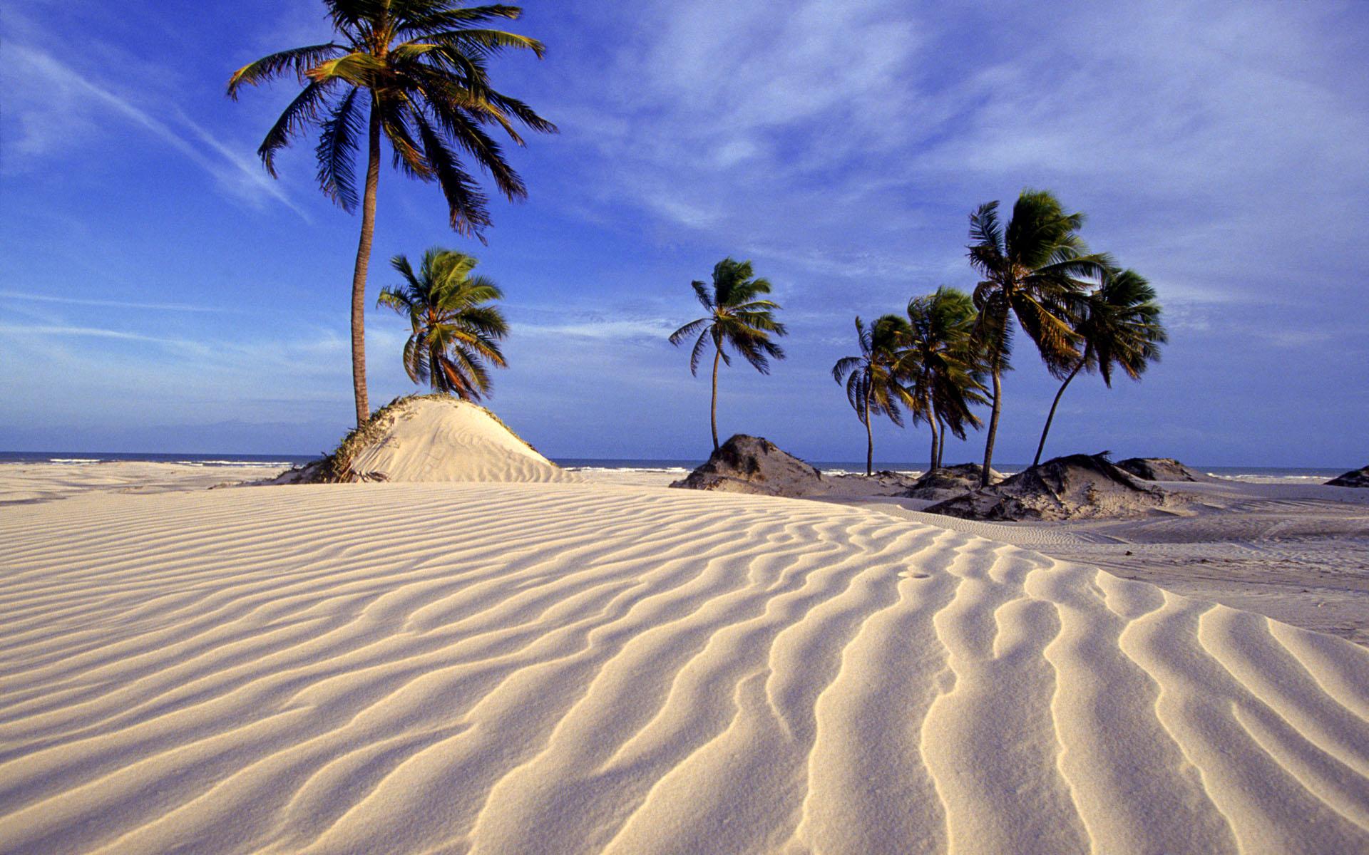 Brazil Beach Wallpapers - Top Free Brazil Beach Backgrounds ...