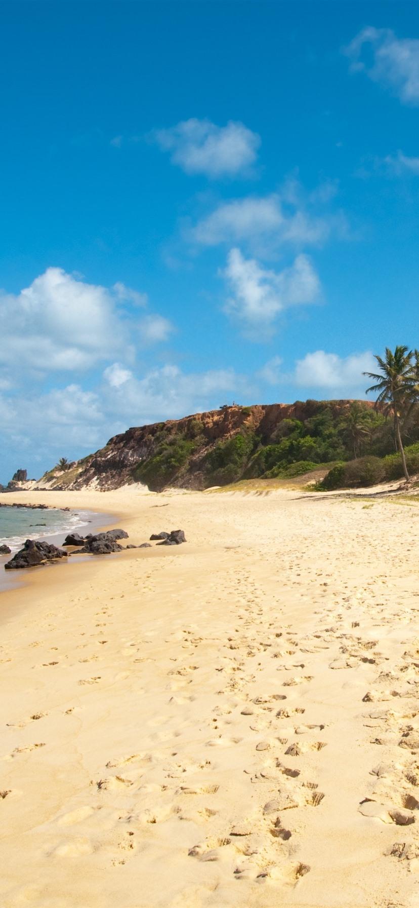 Brazil Beach Wallpapers - Top Free Brazil Beach Backgrounds - WallpaperAccess