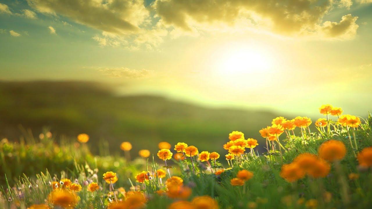 Calming Morning Wallpapers - Top Free Calming Morning Backgrounds ...