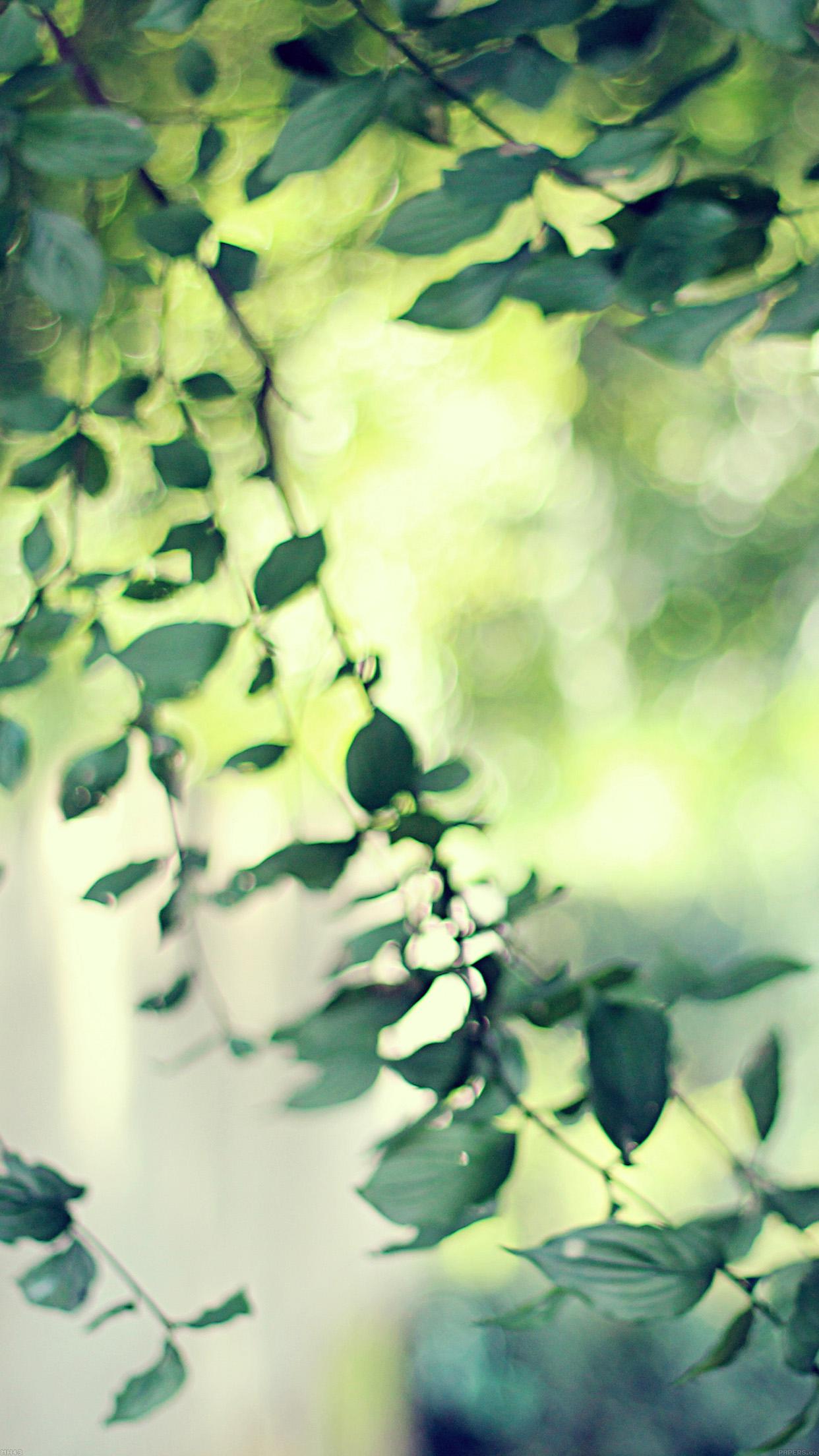 Calming Morning Wallpapers - Top Free Calming Morning Backgrounds ...