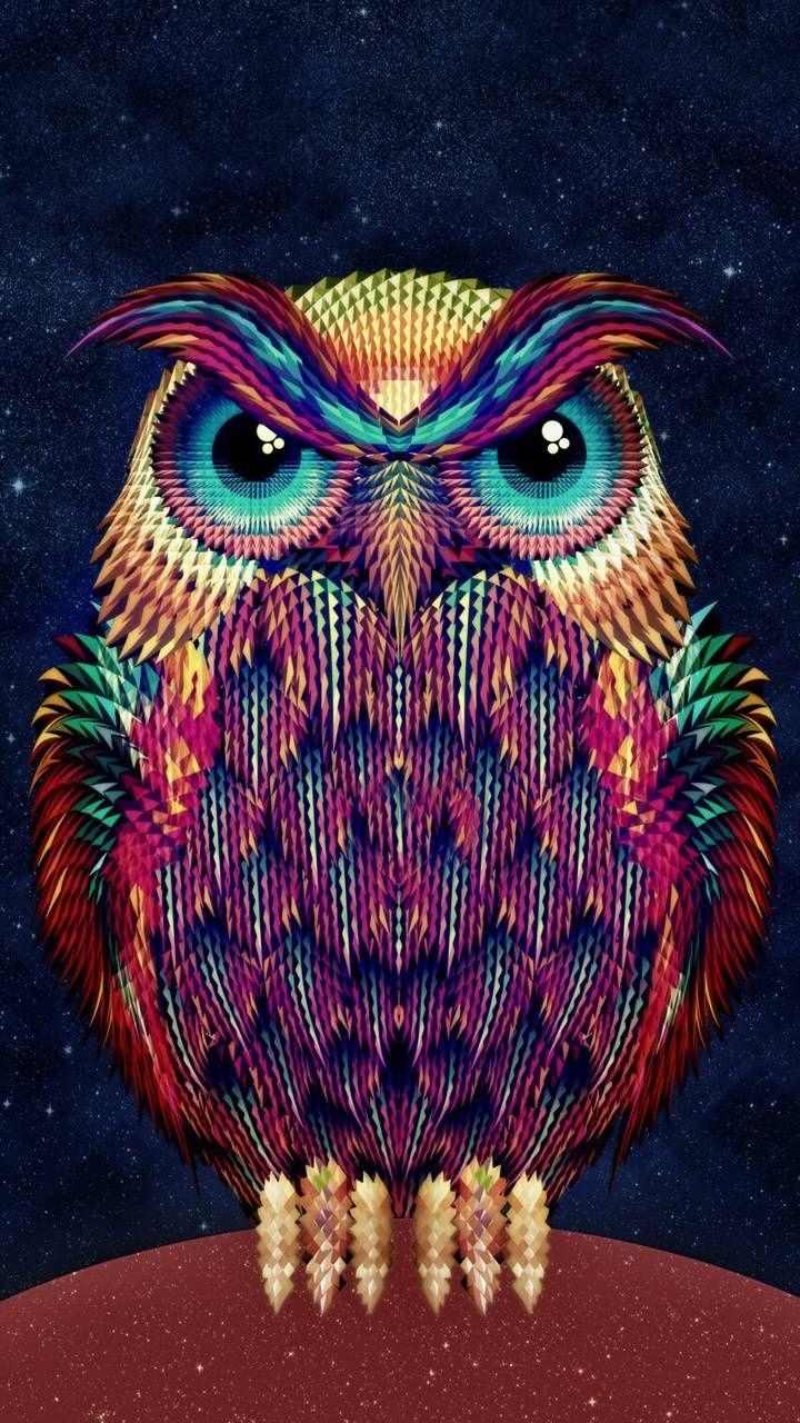 Owl Mobile Wallpapers - Top Free Owl Mobile Backgrounds - WallpaperAccess